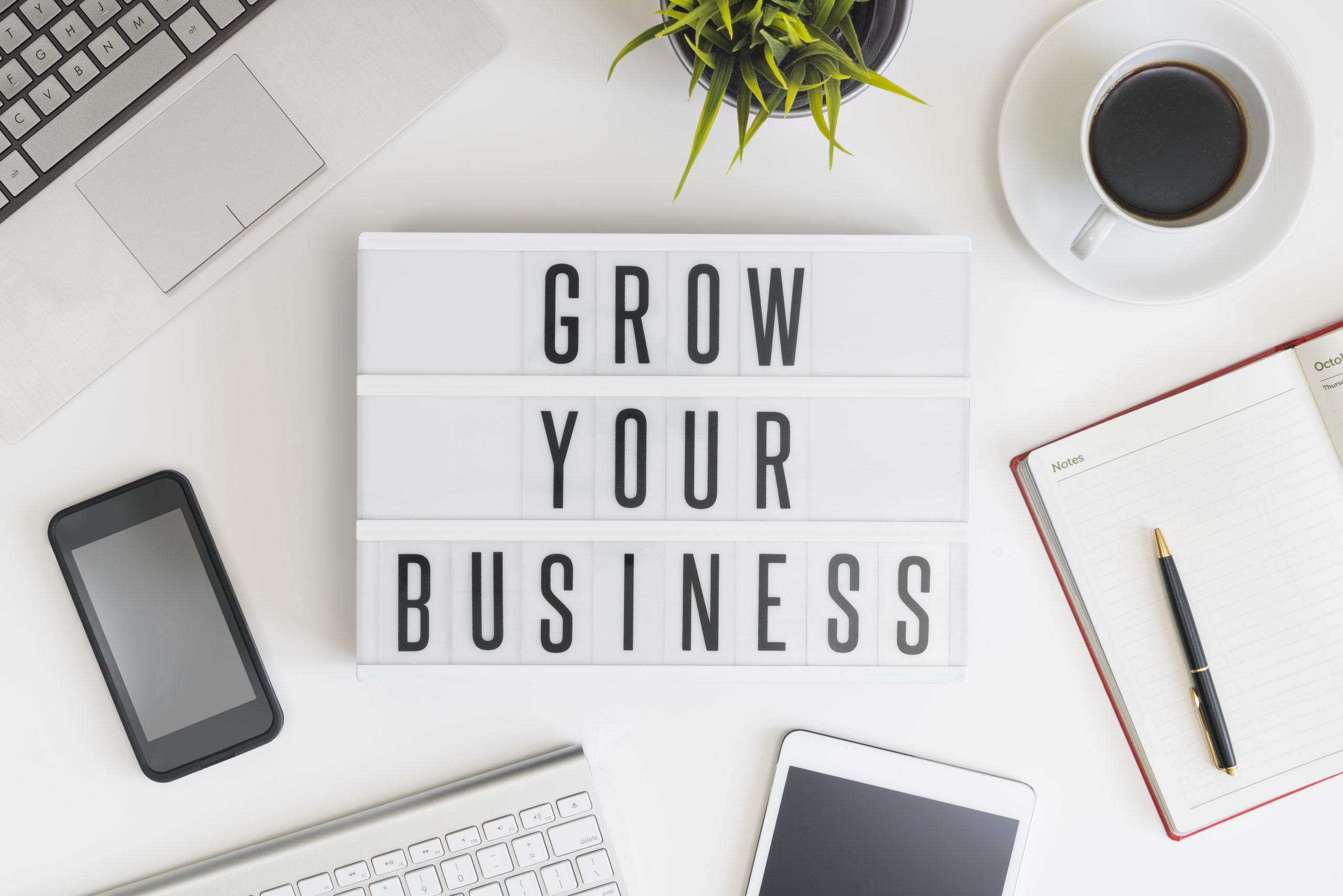 8 Proven Ways to Grow and Expand Your Business - BizWitty