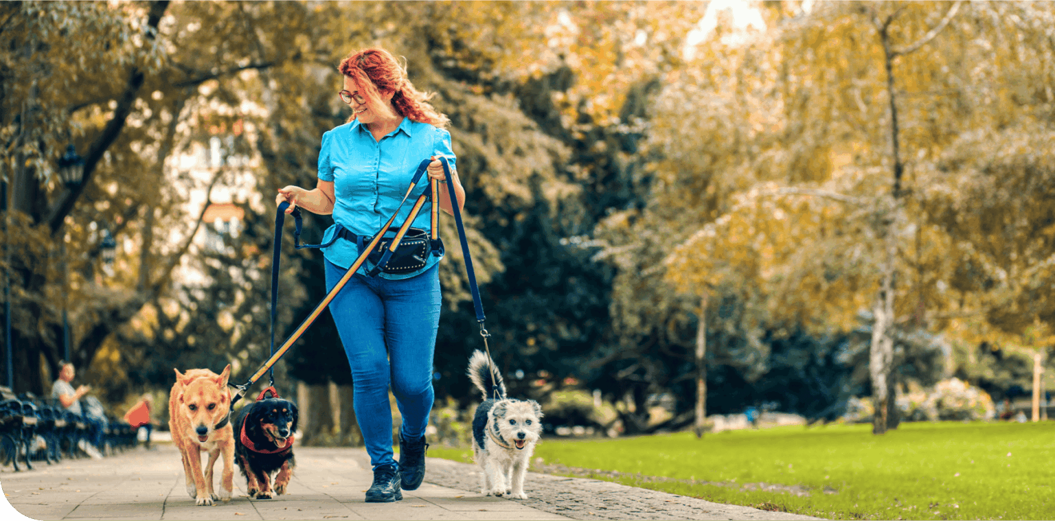 Dog Walkers Insurance | BizCover